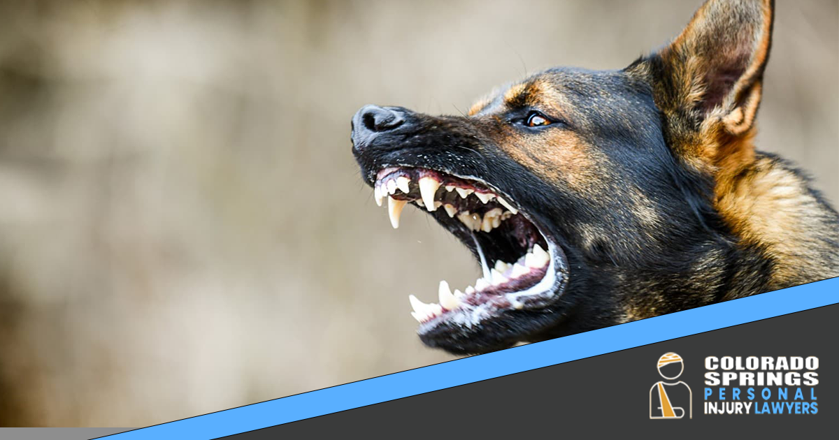 Rush Dog Bites and Animal Attacks Attorney